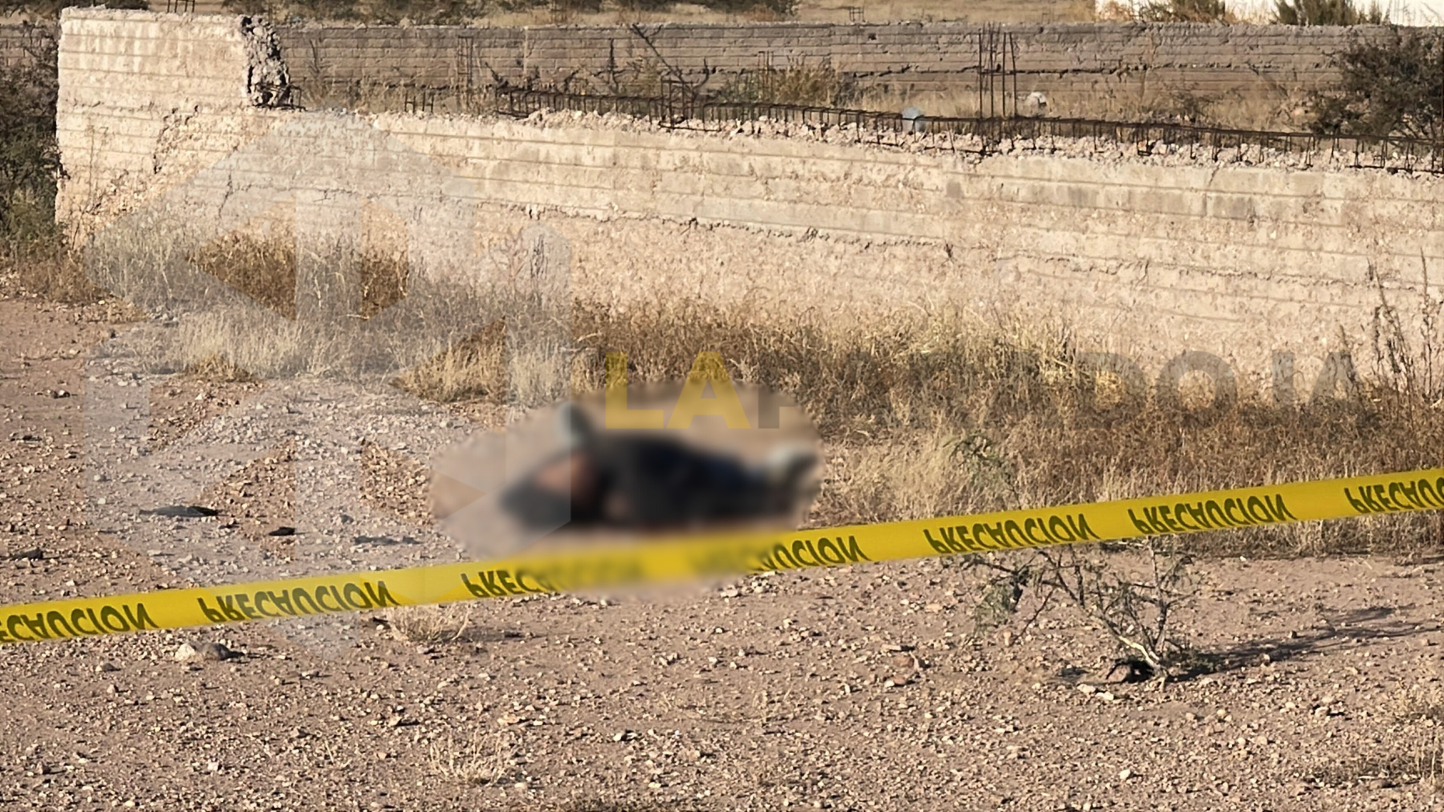 Encuentran cuerpo que era devorado por perros cerca de la caseta de ...
